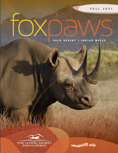 Foxpaws Fall 2021 - The Living Desert Zoo and Gardens