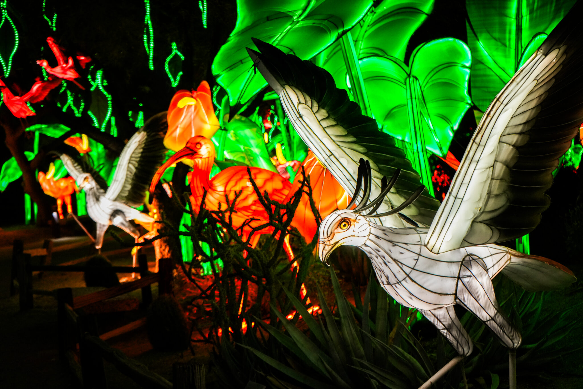 5 Reasons We're Excited to GLOW - The Living Desert Zoo and Gardens